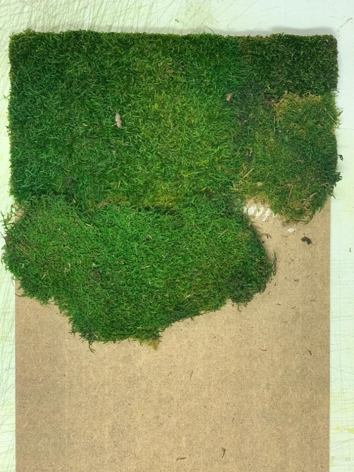 MILYEN RAGASZTÓT HASZNÁLJAK? :: Mohalom.hu