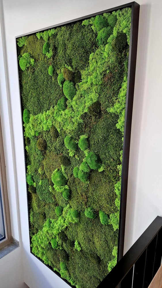 Mooswand günstig selbst herstellen