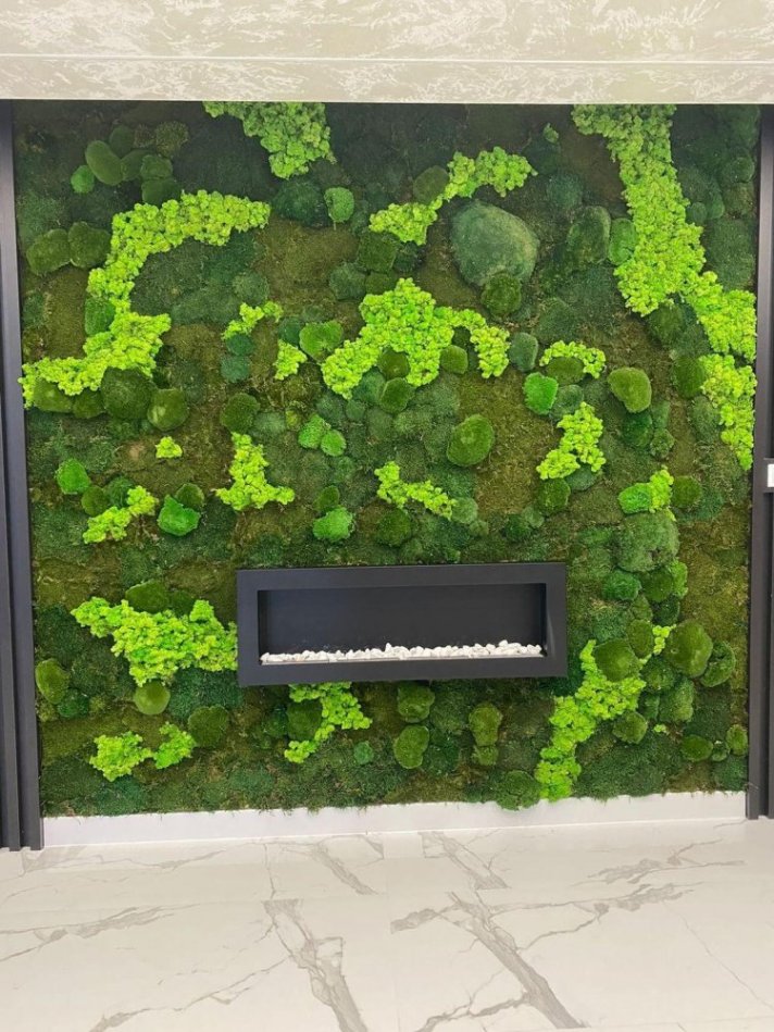 Produzione economica di un muro di muschio da soli